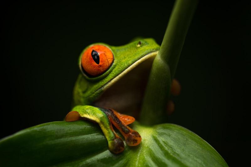 Karlsruhe: Veranstaltungskalender - Naturwunder Erde - Die Welt im Wandel